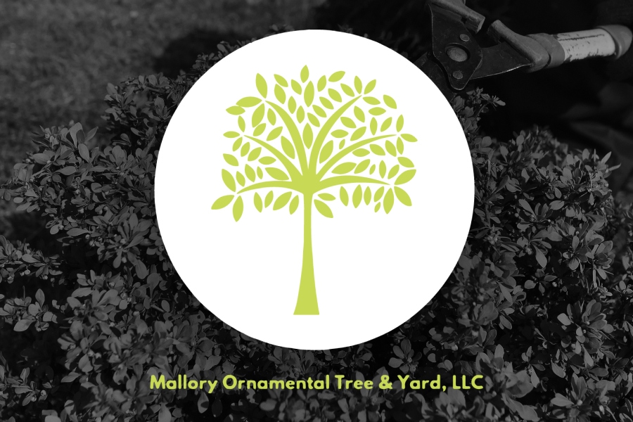 Tree Cutting Service Redmond, OR | Free Estimates!